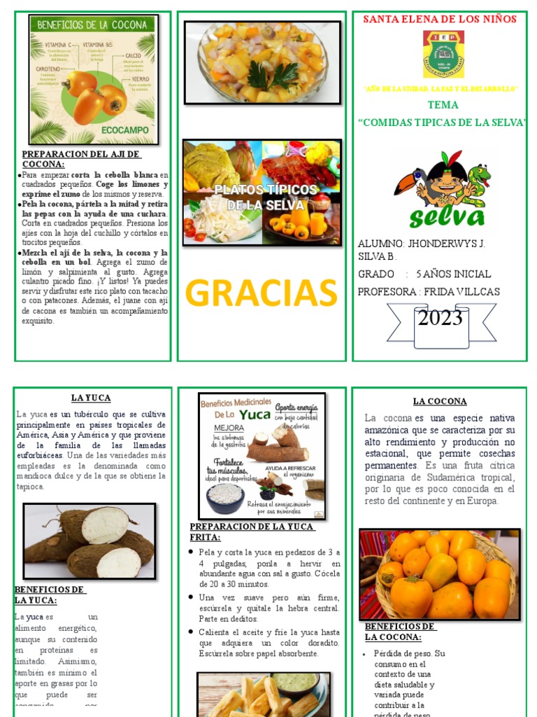 Triptico Comida de La Selva | PDF | Alimentos | Comida y bebida
