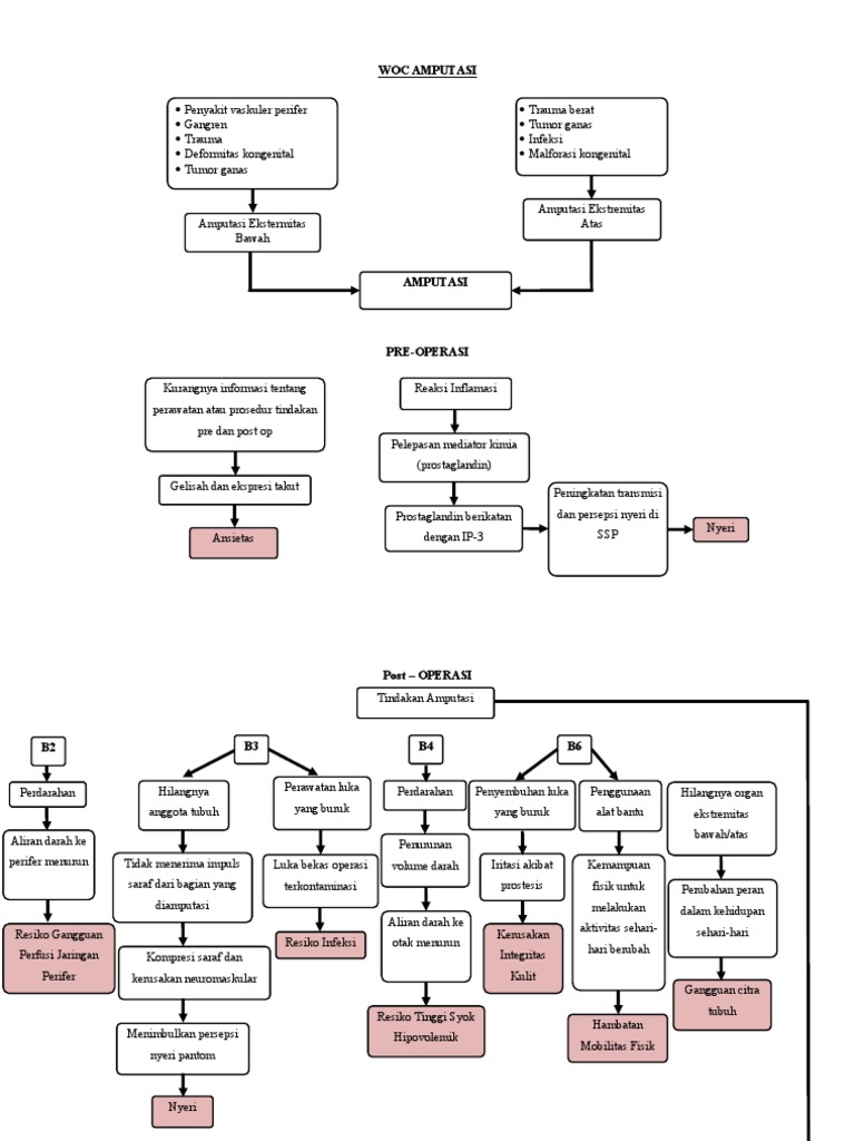 WOC Amputasi | PDF