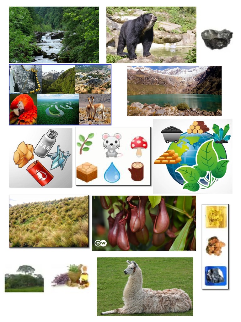 Recursos Naturales Del Perú | PDF