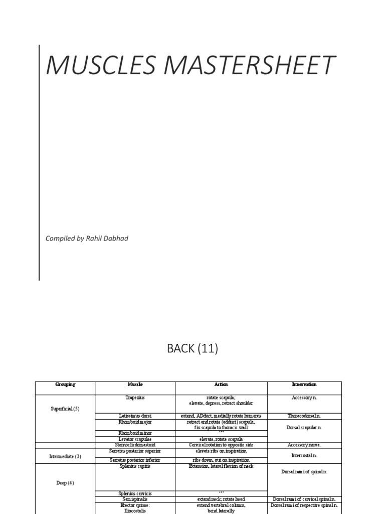 Muscles Mastersheet | PDF | Human Leg | Thumb