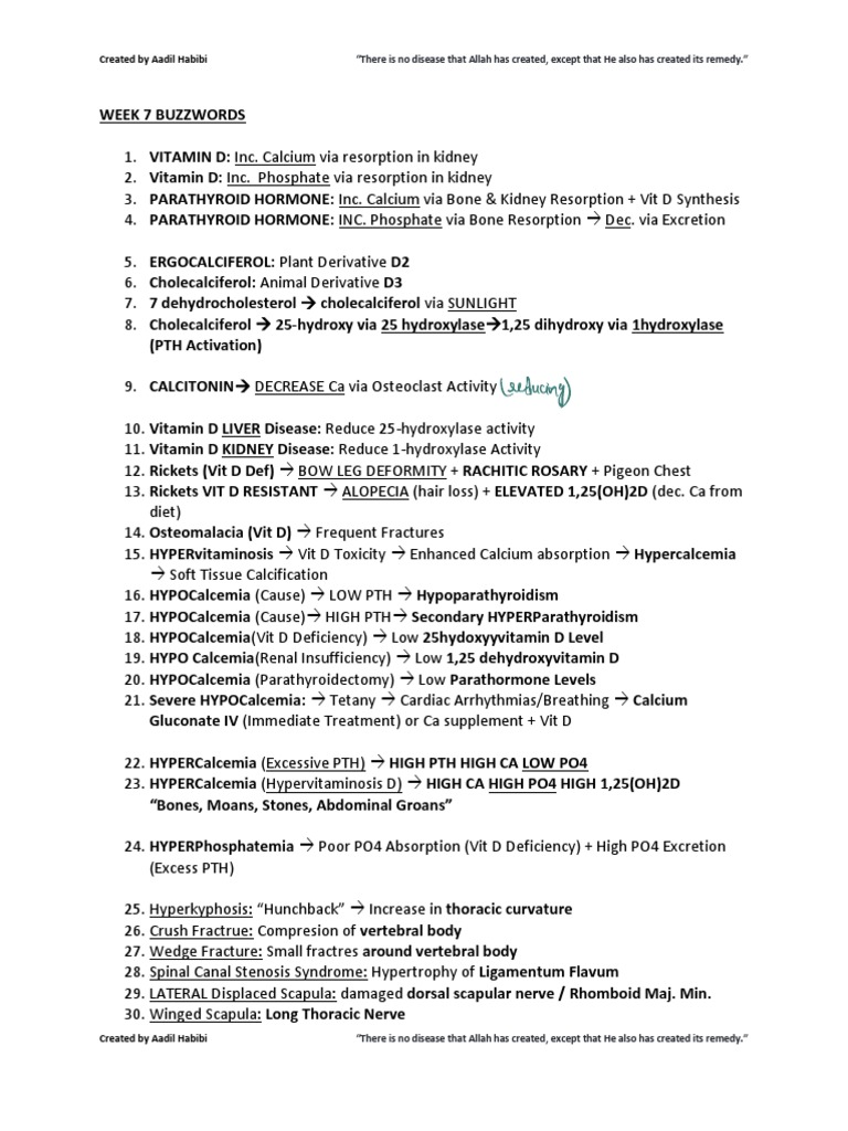 MSK Buzzwords Complete | PDF