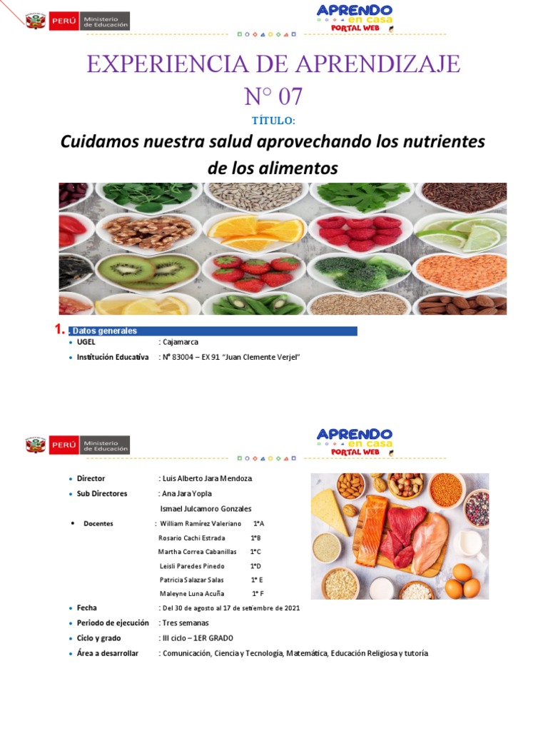 Formato de Exp de AP 7 | PDF