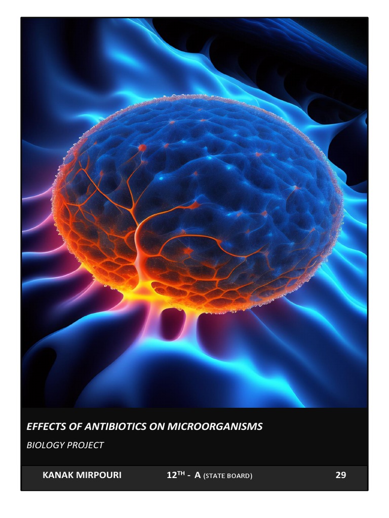 Biology Project | PDF | Antimicrobial Resistance | Bacteria