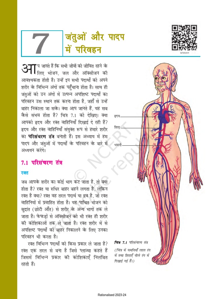 Ncert Textbook For Class 7 Science Hindi Chapter 7 | PDF