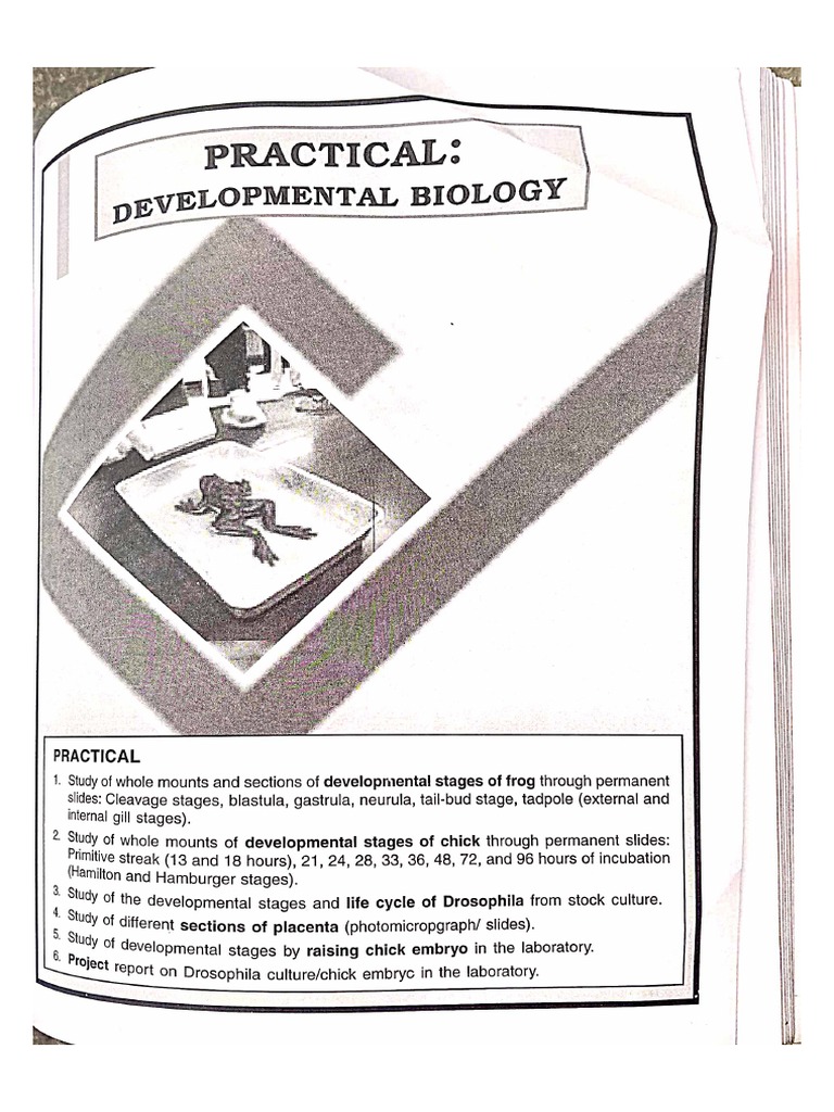 DEVELOPMENTAL BIOLOGY (Core-13) | PDF
