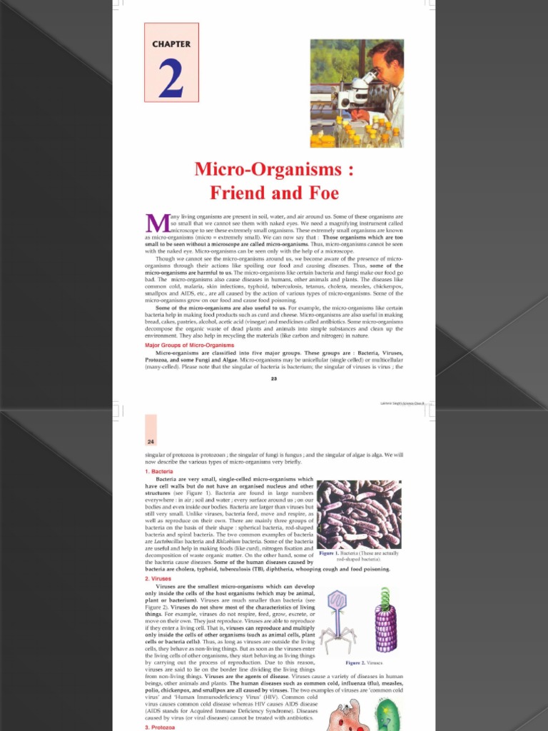 Class 8 Science Chapter 2 | PDF