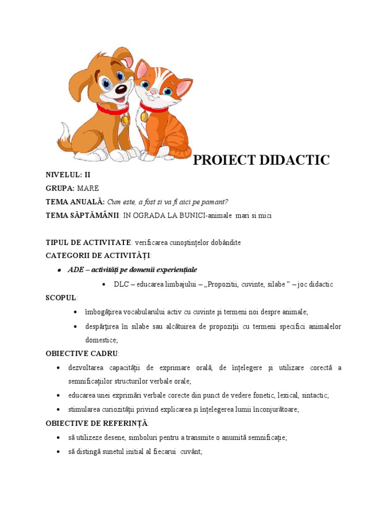 2 Proiect Didactic DLC | PDF