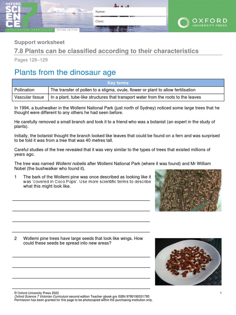 SCI7 Topic 7.8 Support Questions (1) | PDF