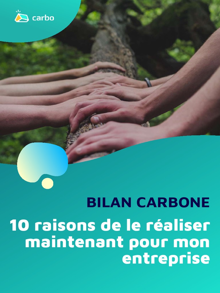 Carbo 10 Raisons de Realiser Un Bilan Carbone | PDF | Gaz à effet de serre | Business