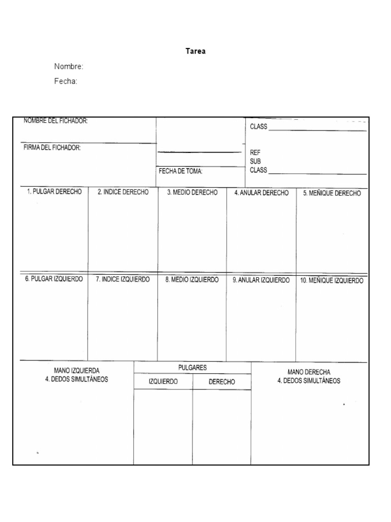 Ficha Decadactilar Didáctica | PDF