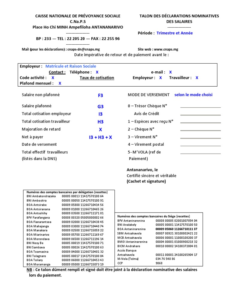 Mode de Remplissage de La Déclaration Nominative Des Salaires (DNS) Physique | PDF