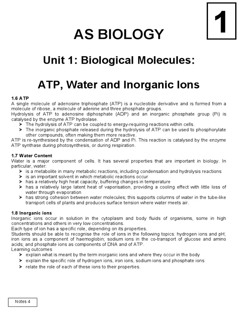 ATP, Water, and Inorganic Ions in Biology | PDF | Adenosine ...