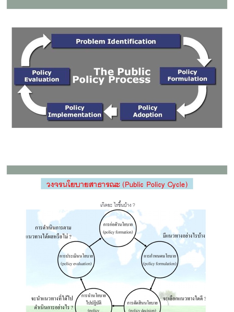 The Public Policy Process 8 - 2564 | PDF