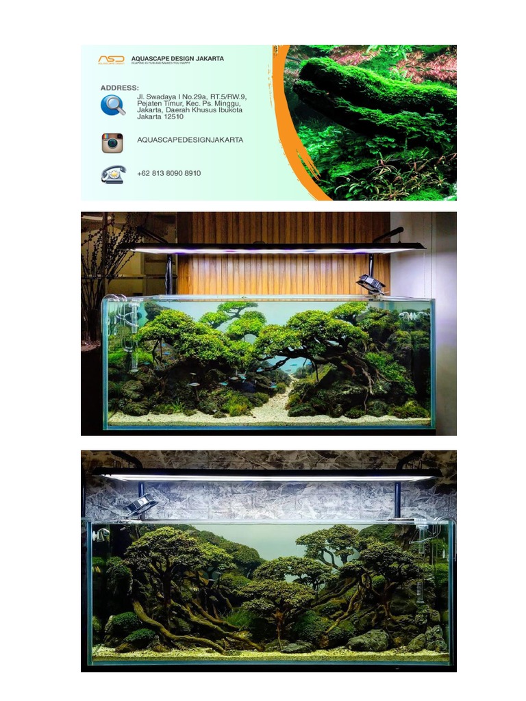 Brosur Aquarium Aquascape | PDF