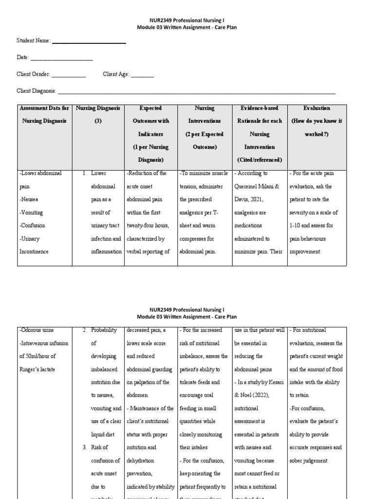 Module 03 Written Assignment - Care Plan (1) .Edited | PDF