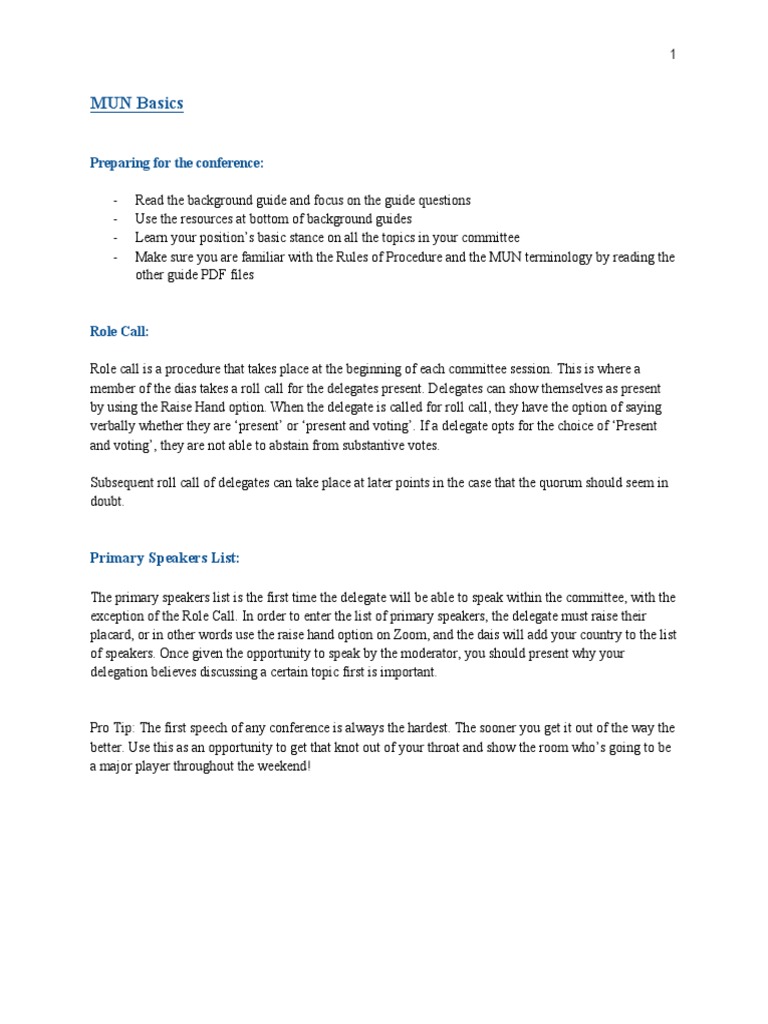 MUN Basics | PDF