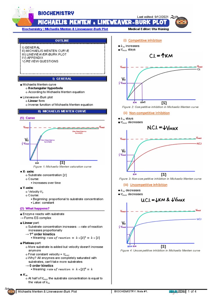 Biochemistry Michaelis Menten - Lineweaver Burk Plot Arellano BSMT | PDF