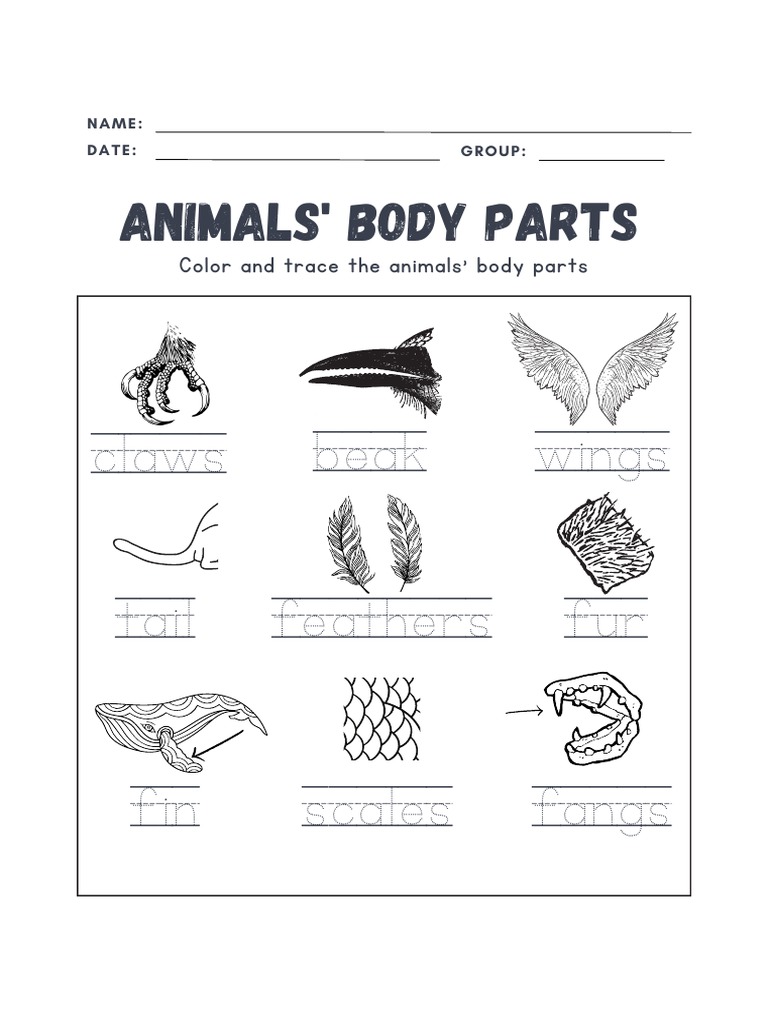 NESE Animal Body Parts | PDF | Language Arts & Discipline