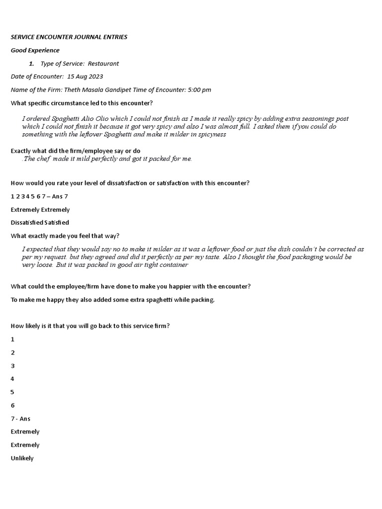 Service Encounter Journal Entries | PDF