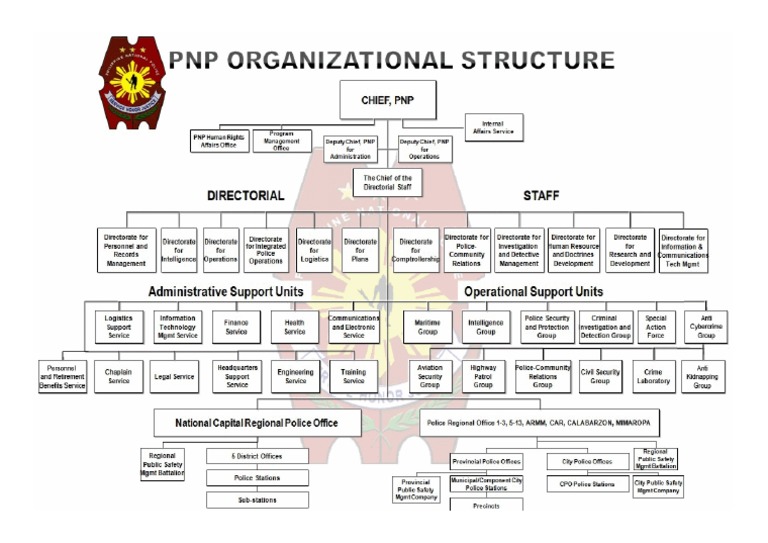 PNP Structure | PDF
