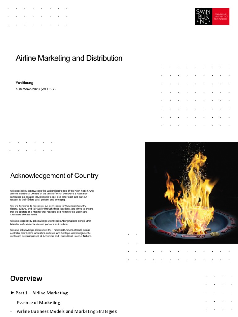 Airline Marketing & Distribution Guide | PDF | Finance & Money ...