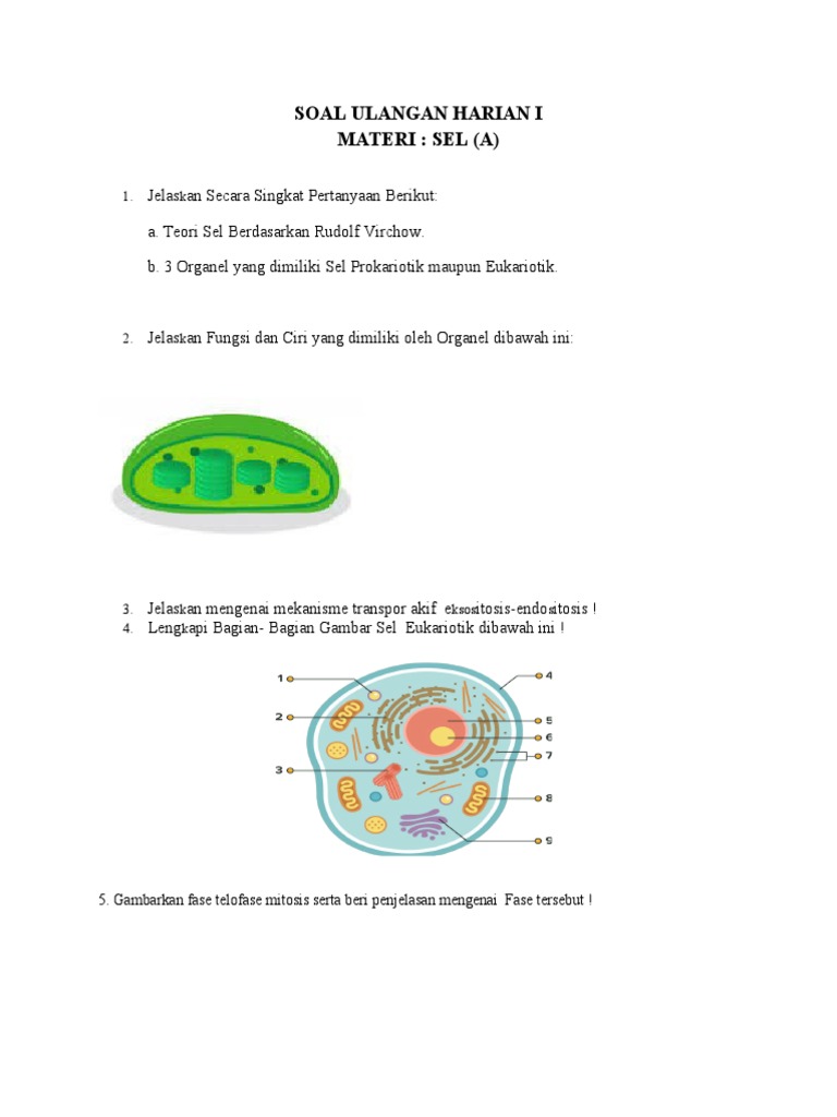 Soal Ulangan Harian: Materi Sel | PDF