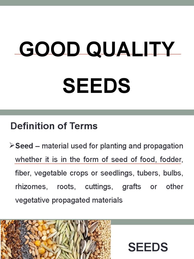 Understanding Good Quality Seeds | PDF | Seed | Germination