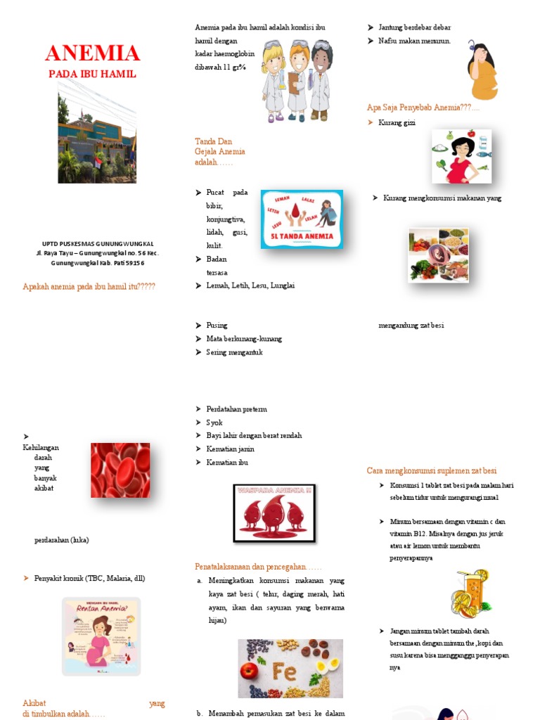 Leaflet Anemia Ku | PDF