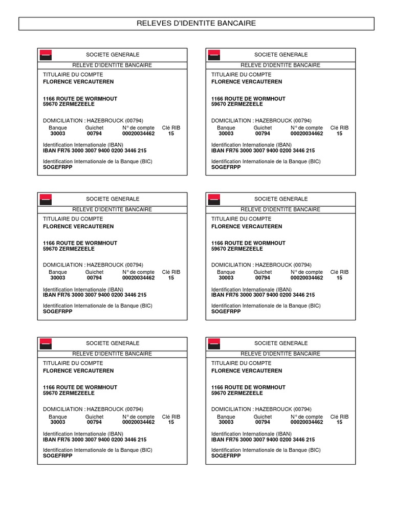 RIB Compte Professionnel | PDF