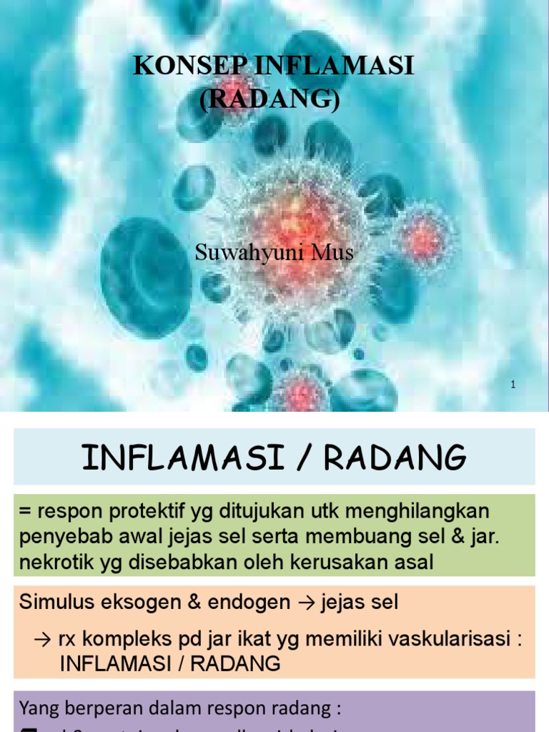 13Konsep_Inflamasi_pptx | PDF