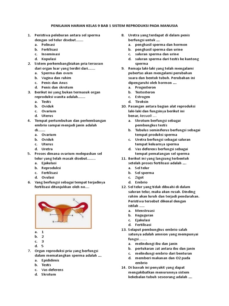 Soal PH Bab 1 Kelas 9 | PDF