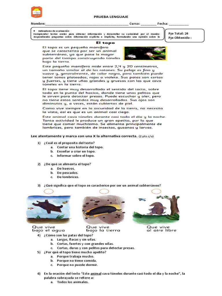 Prueba Lenguaje - Texto Informativo | PDF