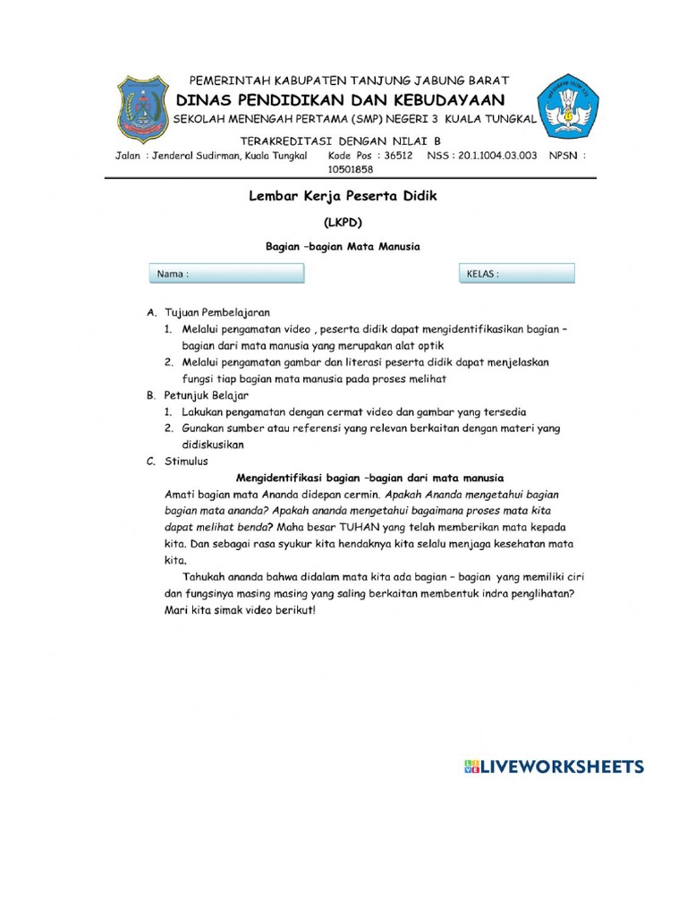 LKPD Mata Dan Fungsinya | PDF