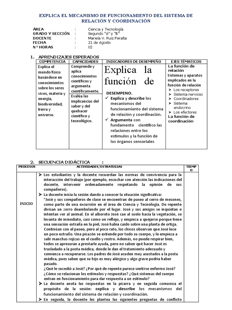 La Relación y Coordinación en Los Seres Vivos | PDF | Cerebro | Neurociencia