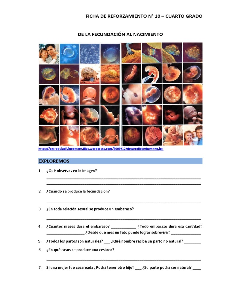 Rp-Cta4 - k10 - Ficha | PDF