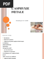 ERCF | PDF | Grossesse | Accouchement