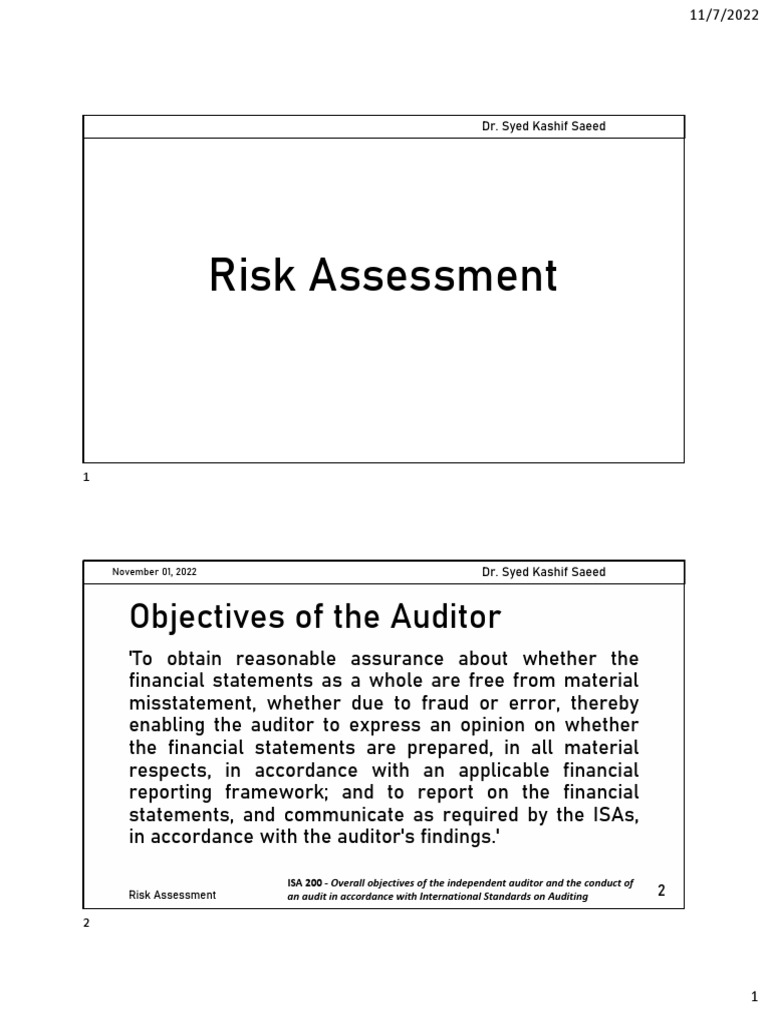Risk Audit | PDF | Audit | Financial Audit