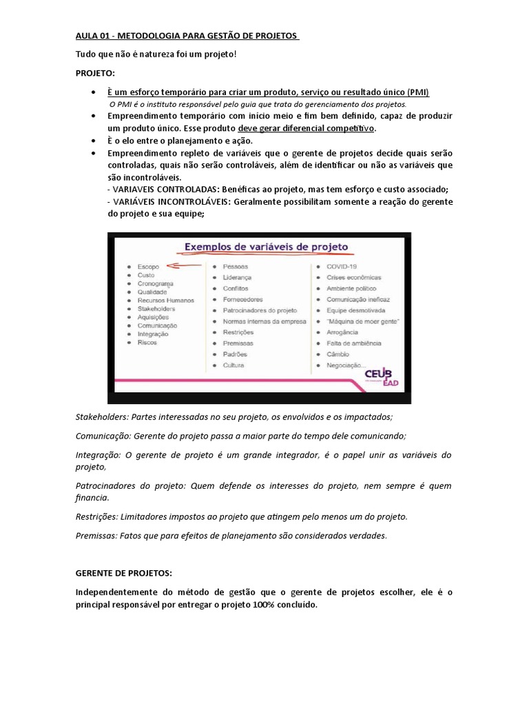 Gestão De Projetos Pdf