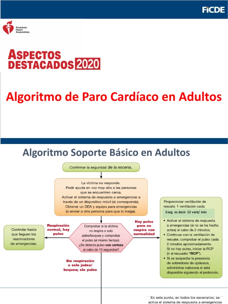 SVCA Algoritmo Adulto AHA 2020 | PDF
