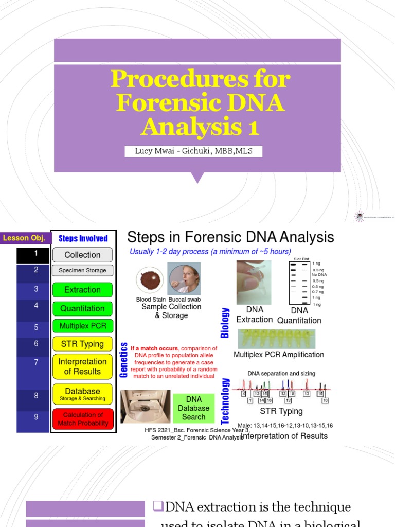 Lesson 6 - Procedures For Forensic DNA Analysis Part 1 | PDF | Protein ...