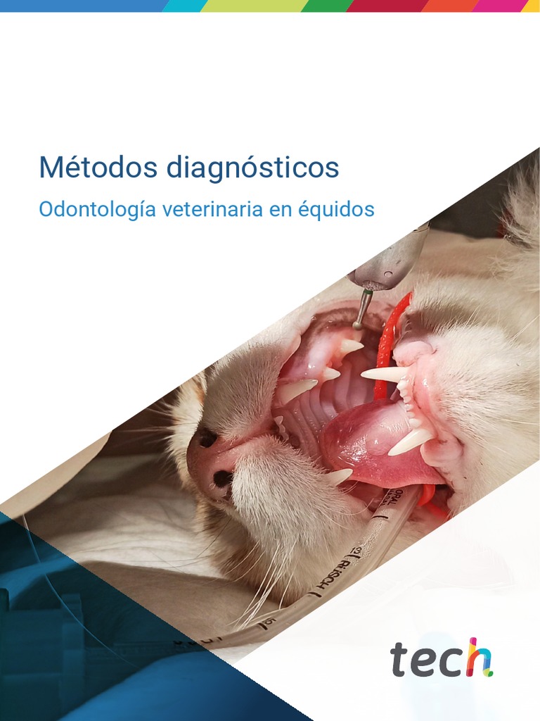 059 Métodos Diagnósticos Equidos | PDF | Imagenes medicas | Radiología