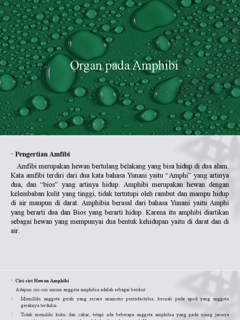 Organ Pada Amphibi | PDF