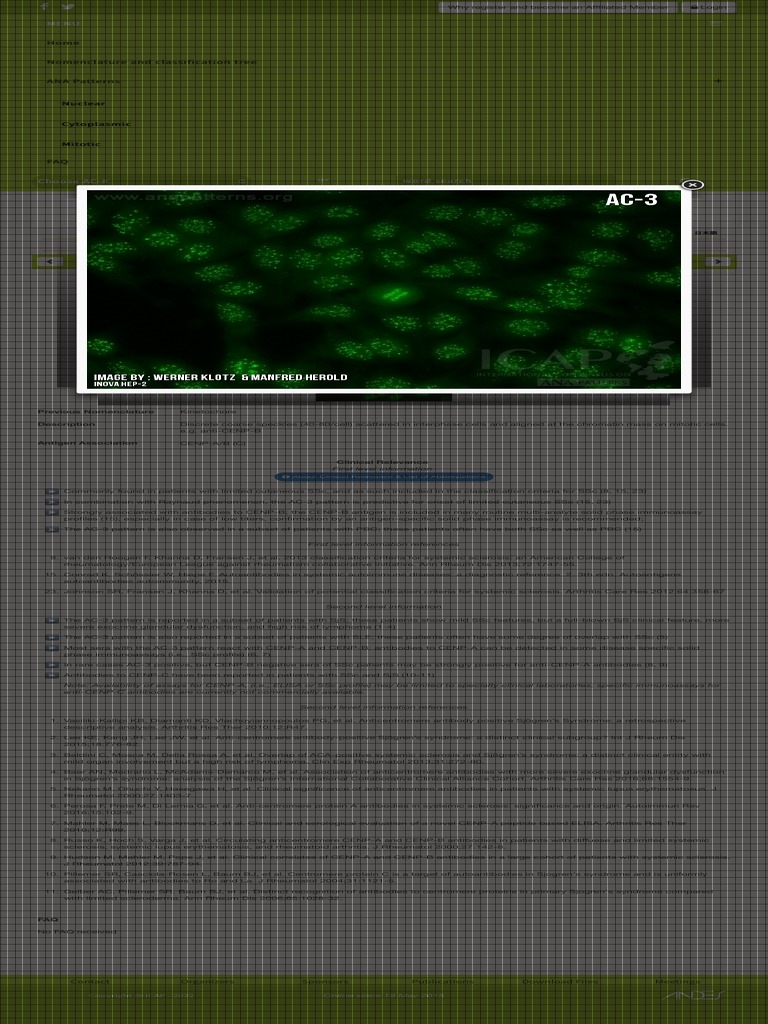 Ana Patterns 5 Pdf Medical Specialties Clinical Medicine