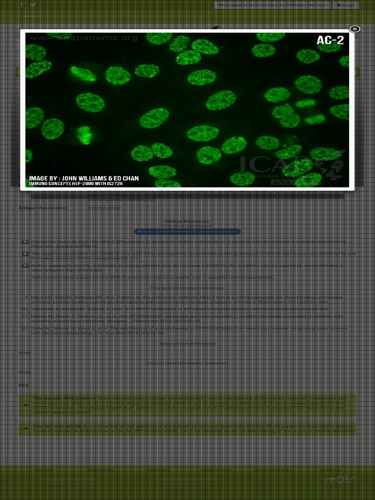 ANA Patterns 2 | PDF
