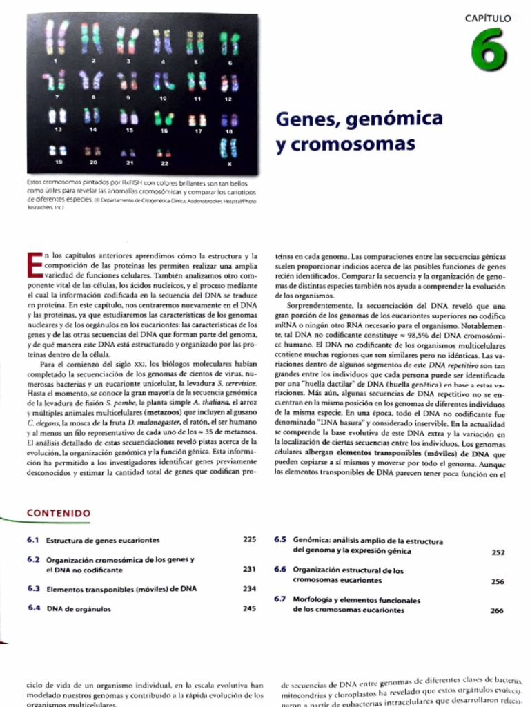 Cap 6 | PDF | Adn | Genoma