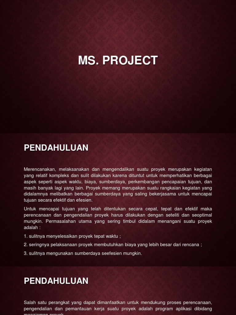 Ms. Project | PDF