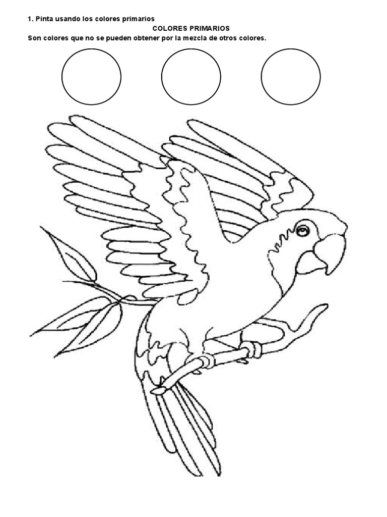 Ficha Arte Colores Primarios | PDF