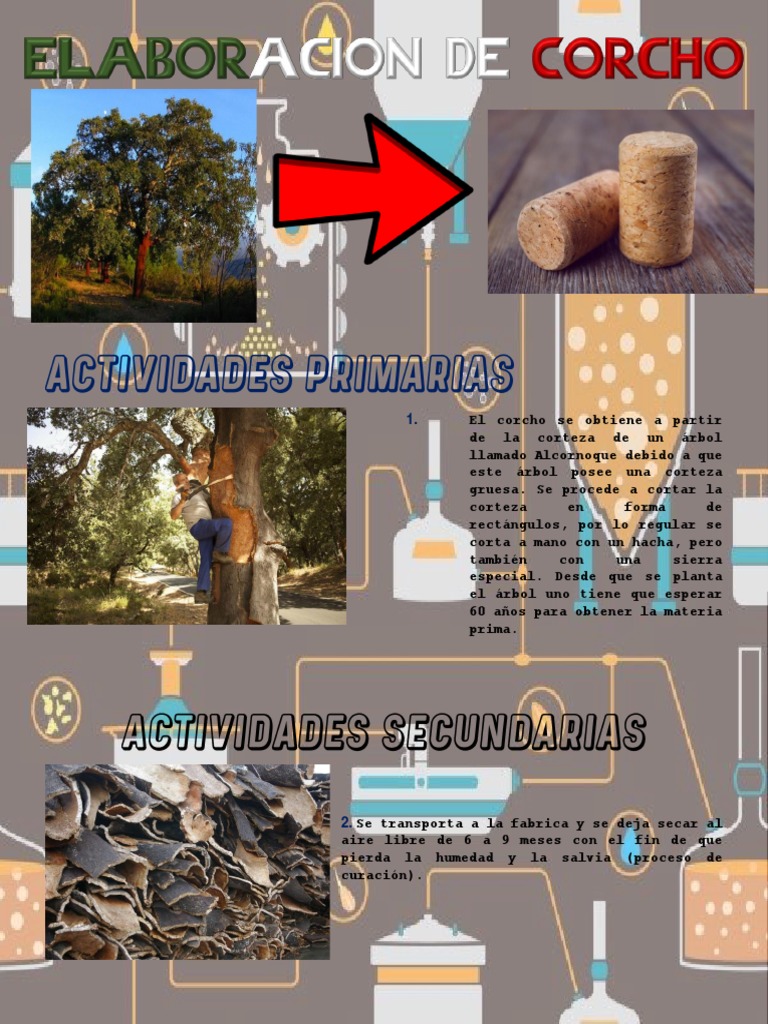 Elaboracion de Corcho | PDF | Hogar, jardinería y bricolaje