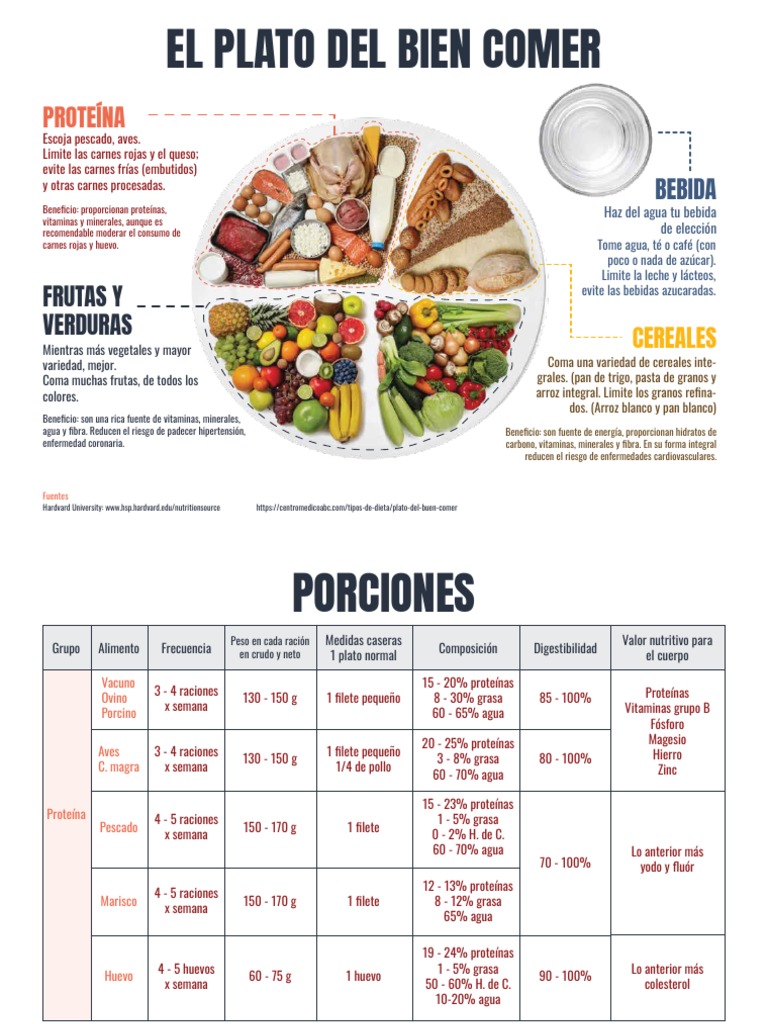 Plan Alimenticio | PDF | Alimentos | Carne