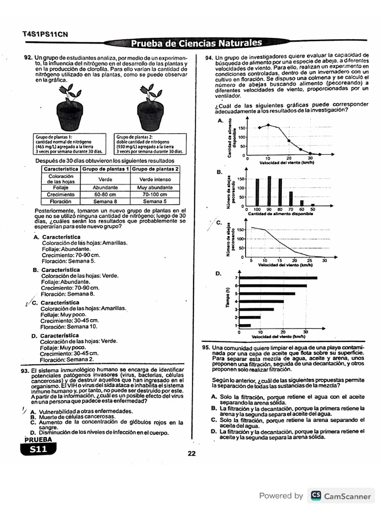 Simulacro Icfes | PDF